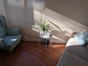 Blossoming Cherry Mental Health Counseling Services P.C.